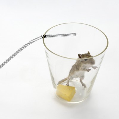 Clever non-lethal mousetraps - Boing Boing