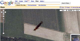 Google Maps reveal world's largest earwig - Boing Boing