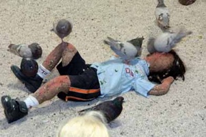 Kader Attia's Flying Rats - Boing Boing