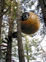 Bubble treehouse - Boing Boing